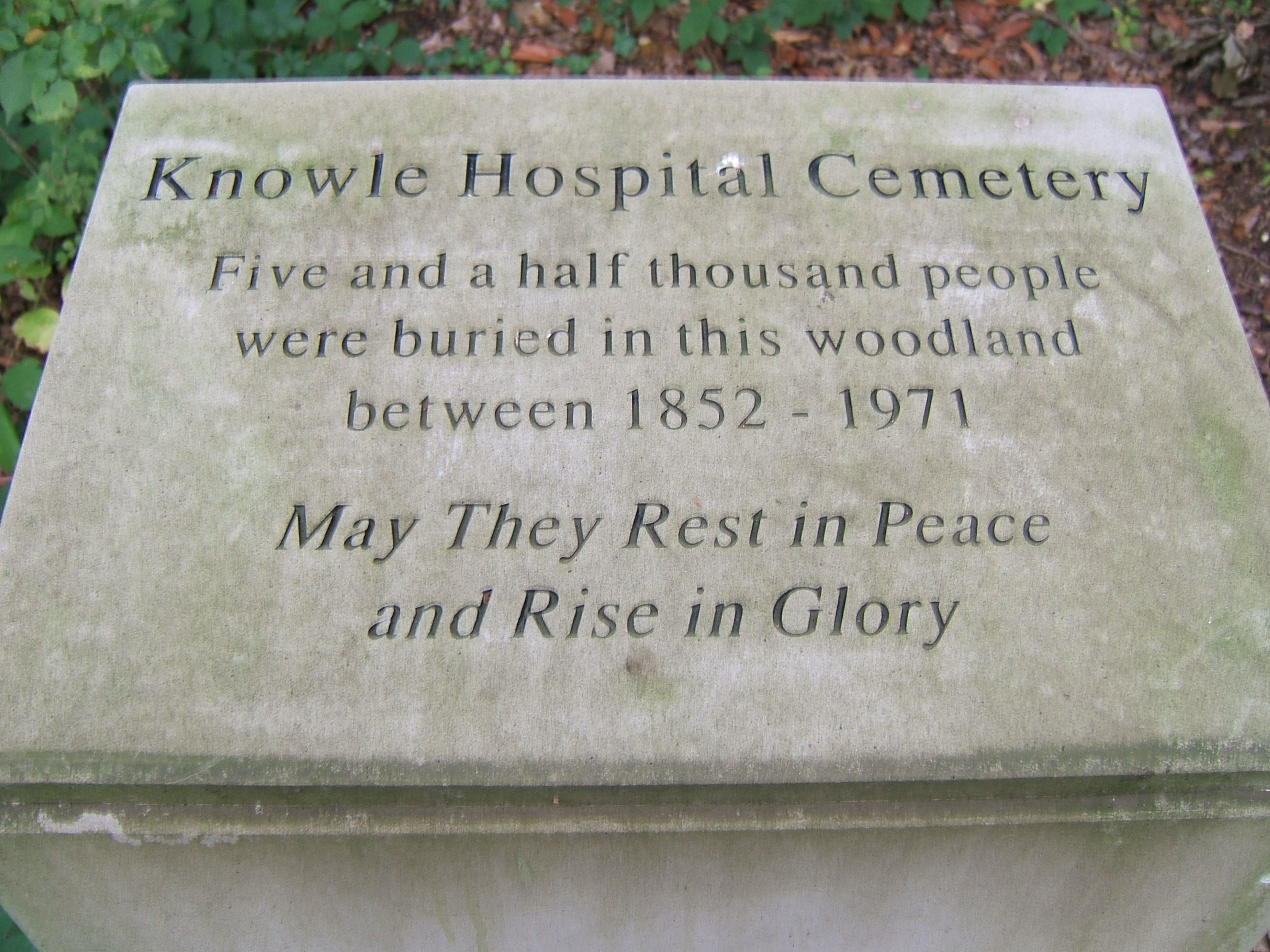 County Asylums – Knowle