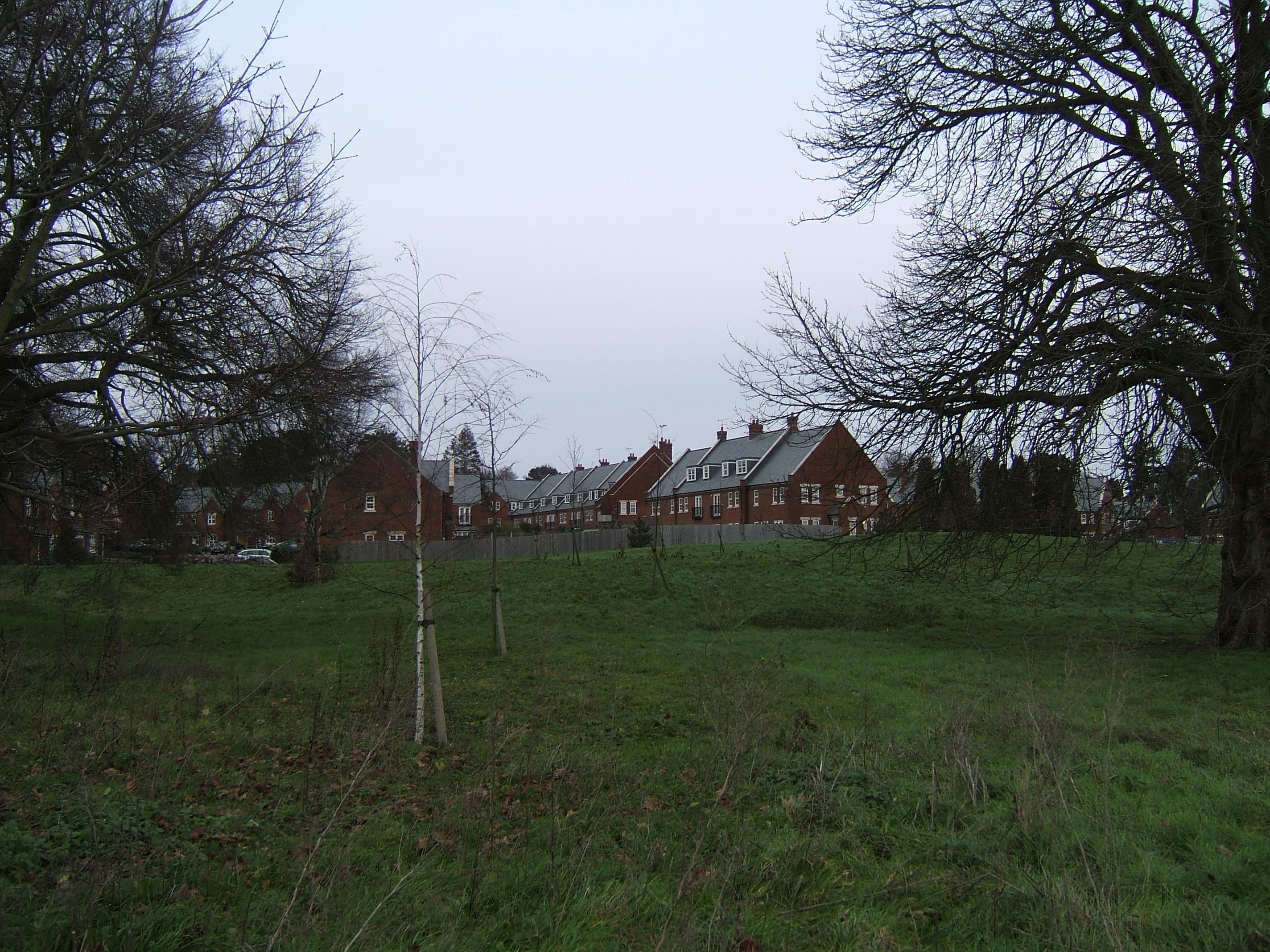 County Asylums – Napsbury