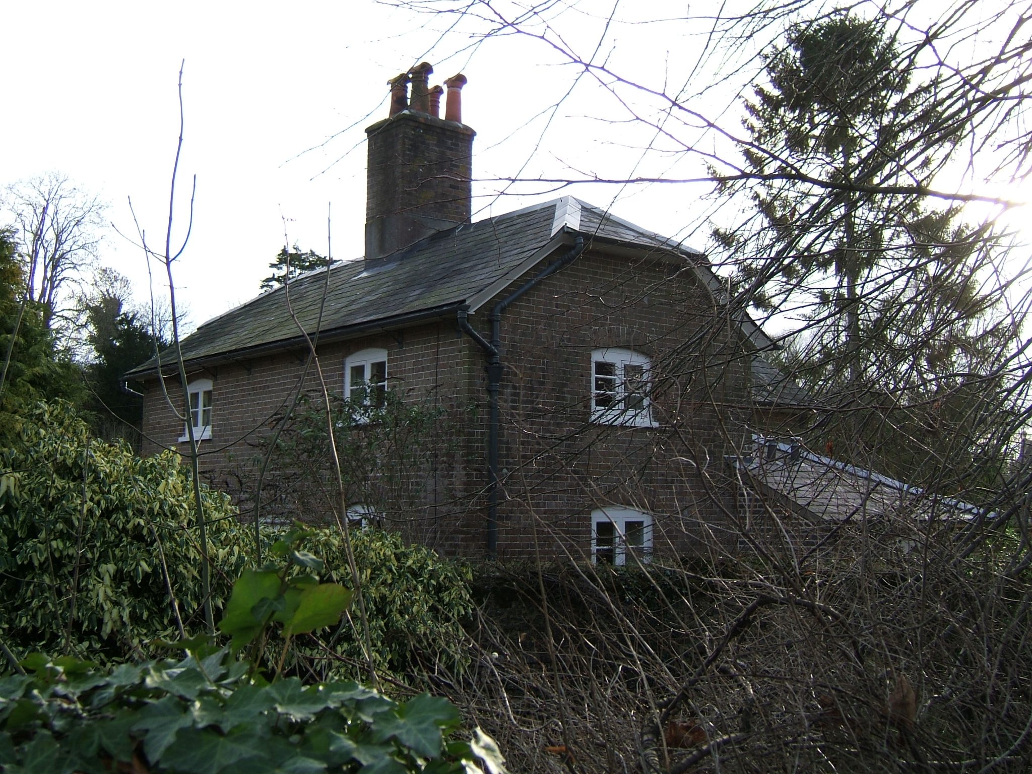 Forston Asylum, Charminster - County Asylums